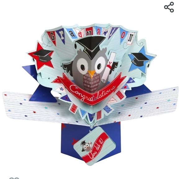 Party Supplies | Pop Up 3d Graduation Greeting Card With Envelope Owl ...